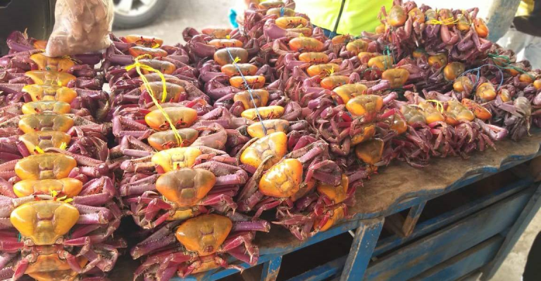 Julio José Neira es Designado Director del SERCOP Encargado – EL MERCURIO